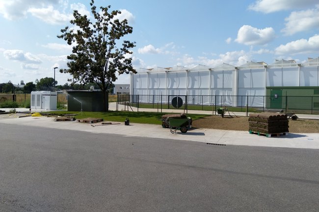 Boux Tuinonderhoud | Homedeal