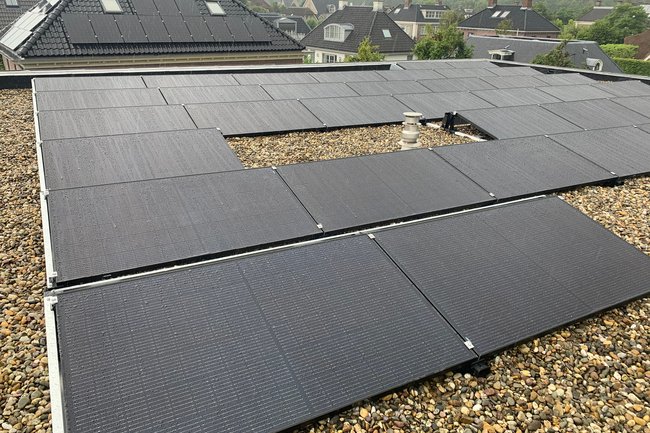 Solar Royal | Homedeal