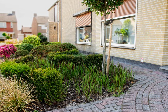 Bok Hoveniers | Homedeal